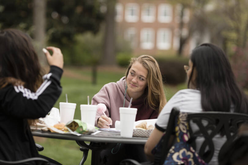 Master of Education in School Counseling (Online) - Salem College